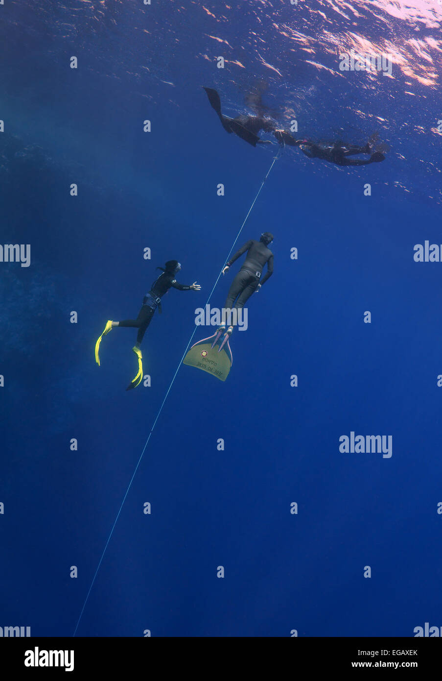 Freitauchen tauchen -Fotos und -Bildmaterial in hoher Auflösung – Alamy