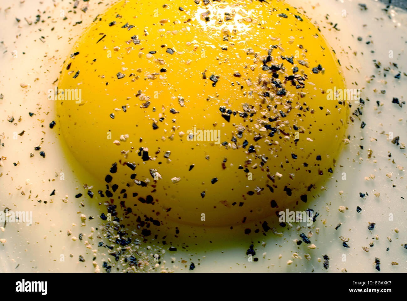 Egg yolk -Fotos und -Bildmaterial in hoher Auflösung – Alamy
