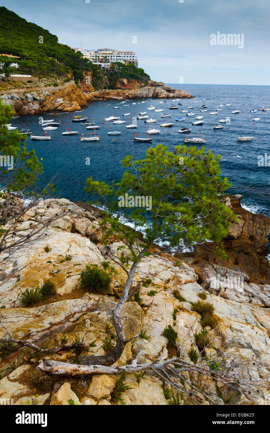 Cala Aiguafreda. Begur. Costa Brava, Gerona. Katalonien, Spanien ...