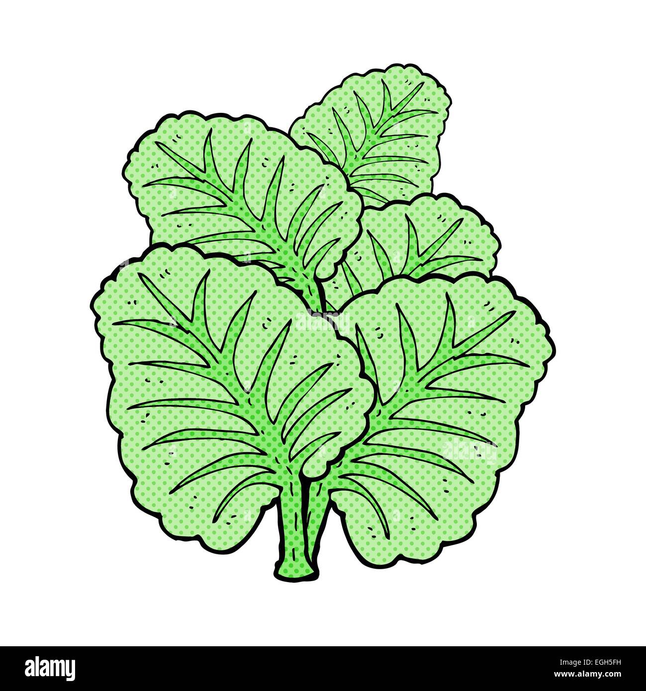 Cartoon cabbage leaves Stock-Vektorgrafiken kaufen - Alamy
