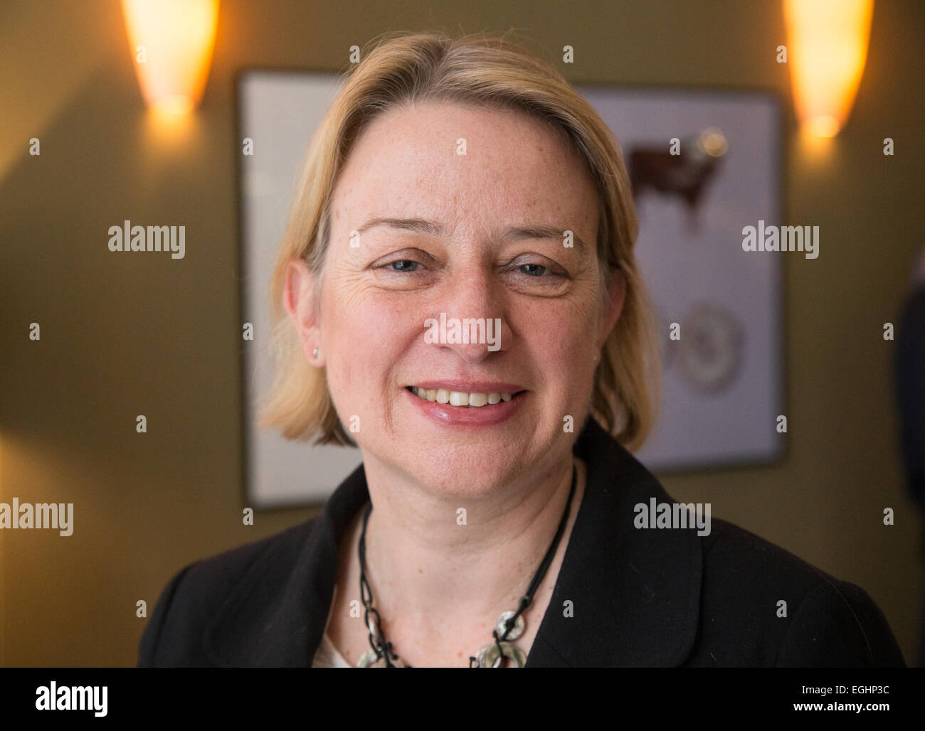 Natalie Bennett, Führer der grünen Partei, spricht bei der Vorstellung ...