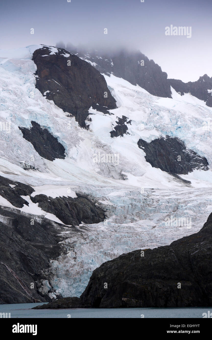 Süd-Georgien, Drygalski Fjord, Eis brechen weg von geringfügigen ...