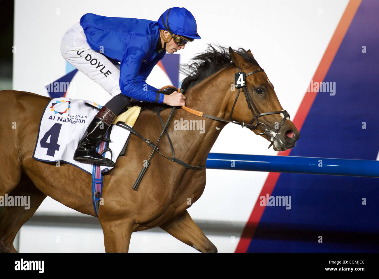 Meydan racecourse dubai -Fotos und -Bildmaterial in hoher Auflösung – Alamy