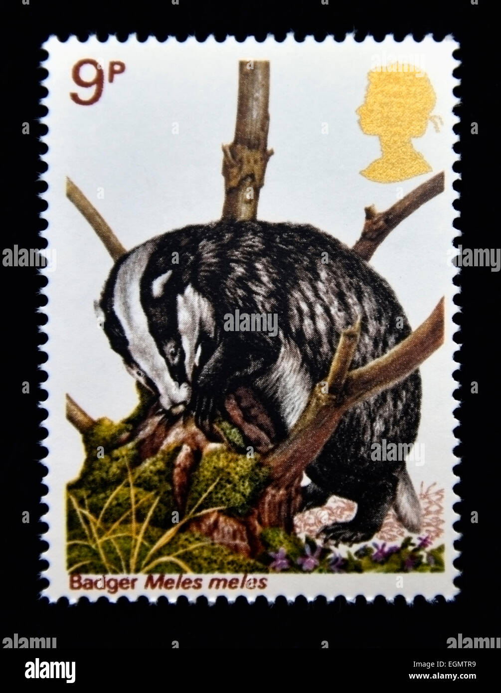 9p stempel -Fotos und -Bildmaterial in hoher Auflösung – Alamy