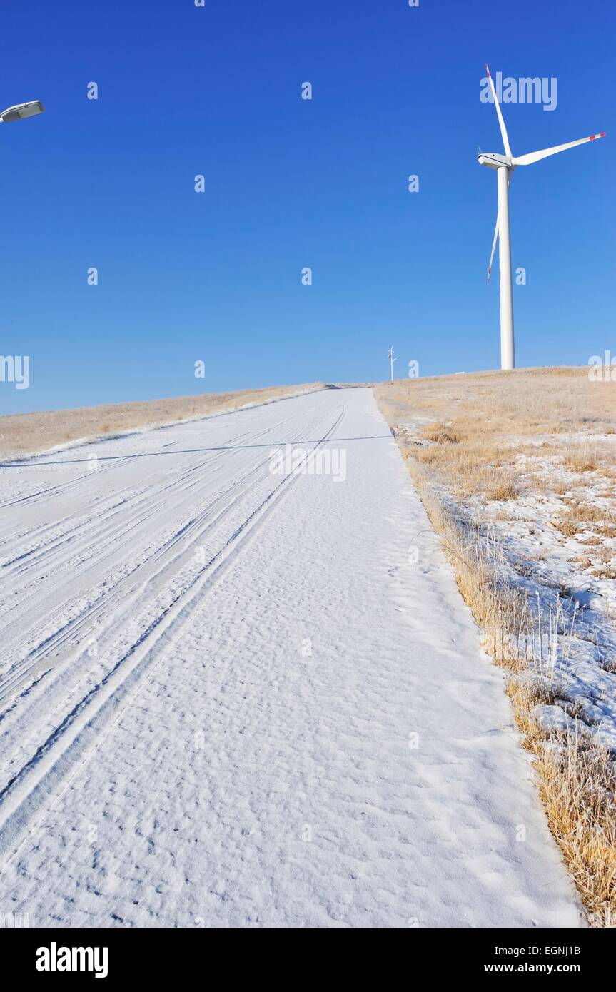 Inneres mongolei porzellan -Fotos und -Bildmaterial in hoher Auflösung ...