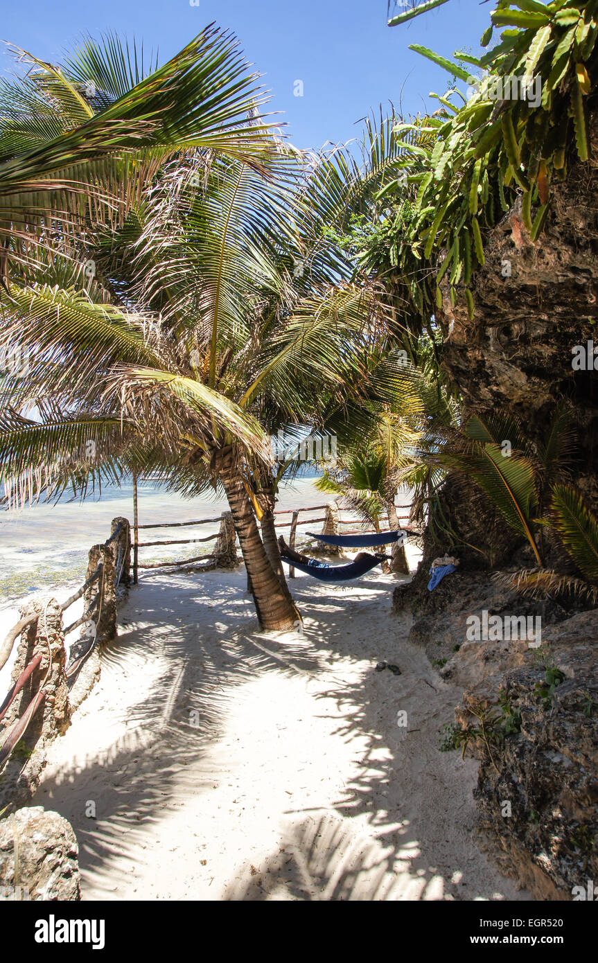 Mombasa coast kenya -Fotos und -Bildmaterial in hoher Auflösung – Alamy