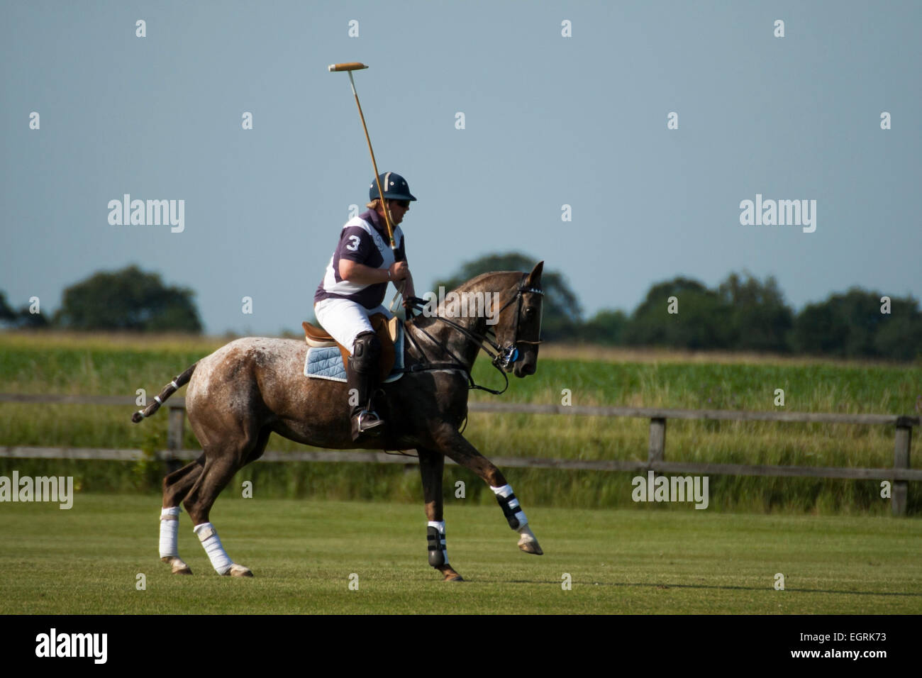 Polo injury -Fotos und -Bildmaterial in hoher Auflösung – Alamy