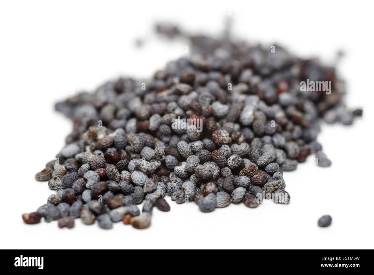 Mohn samen -Fotos und -Bildmaterial in hoher Auflösung – Alamy