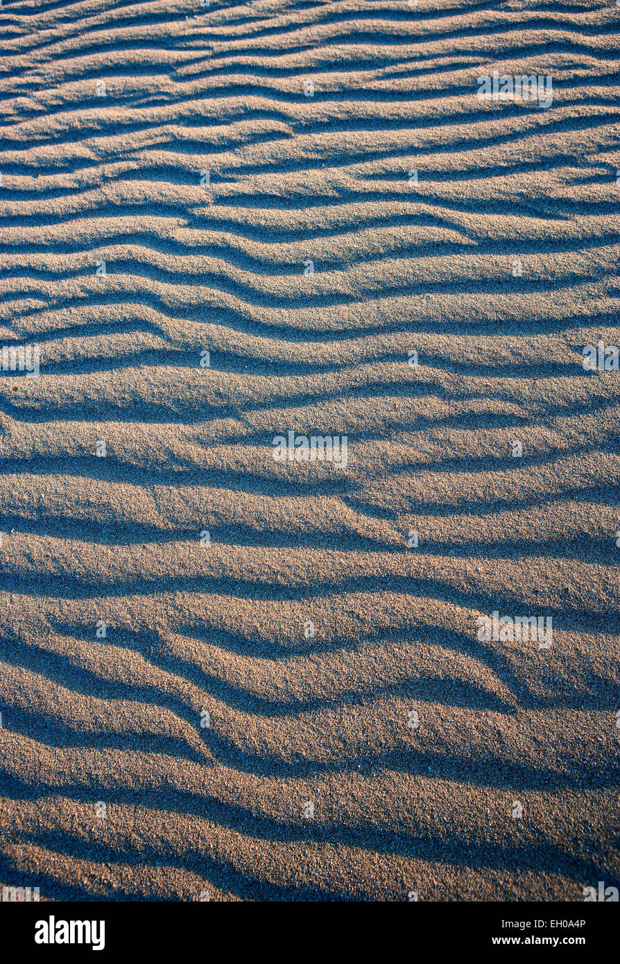 Wellige struktur am sandstrand -Fotos und -Bildmaterial in hoher Auflösung – Alamy