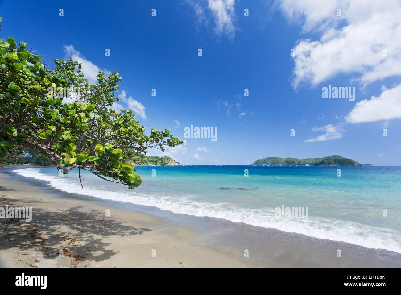 Blick auf Little Tobago Insel mit Strand, Meer und Landschaft, Trinidad ...