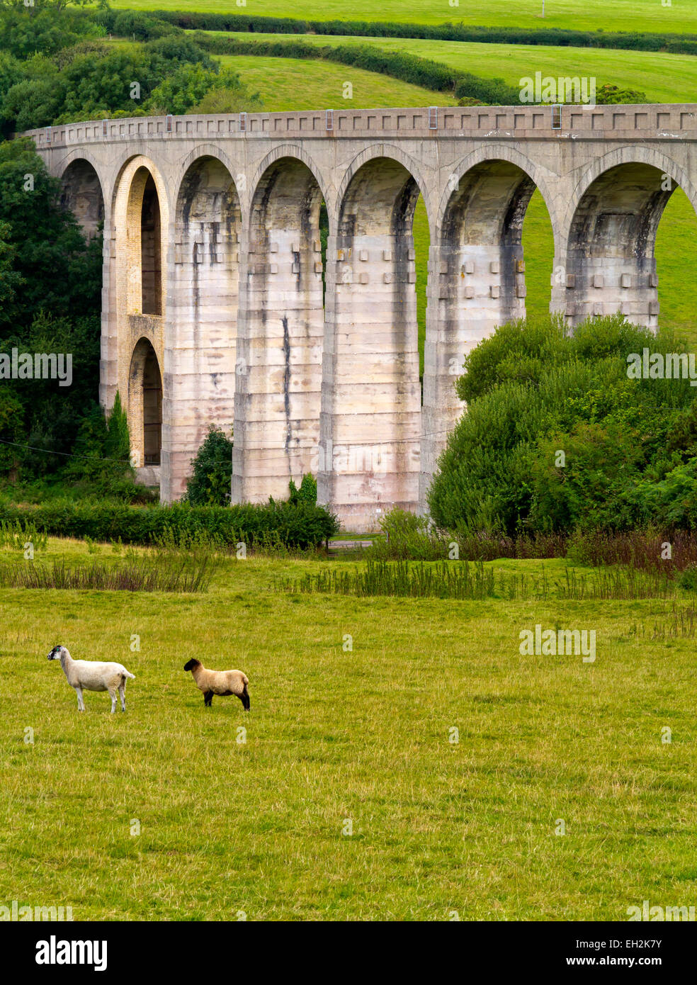 Cannington Viadukt in der Nähe von Uplyme eröffnet 1903 auf der ...