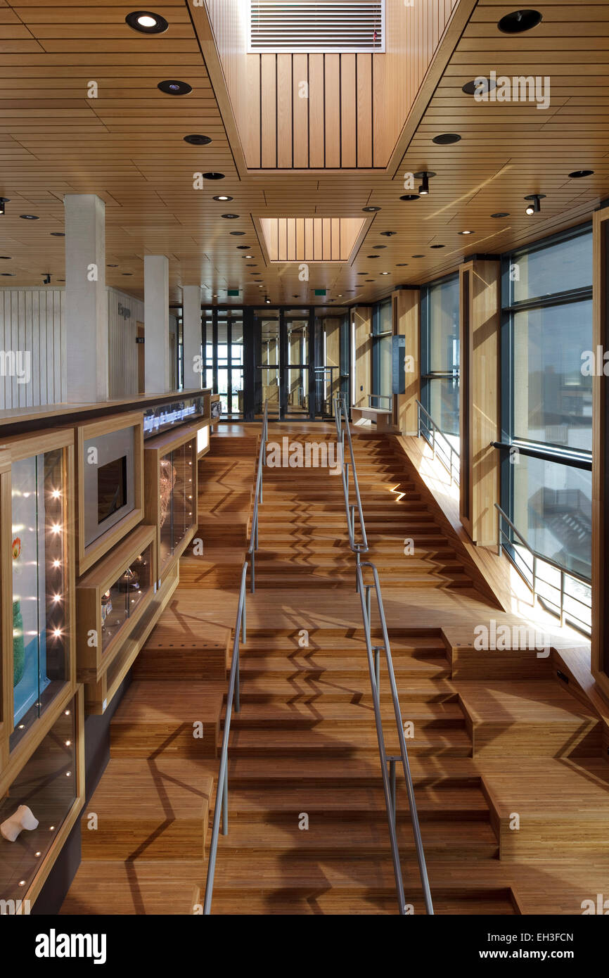 Holztreppe zum Dachgeschoss Auditorium mit Windows bietet einen ...