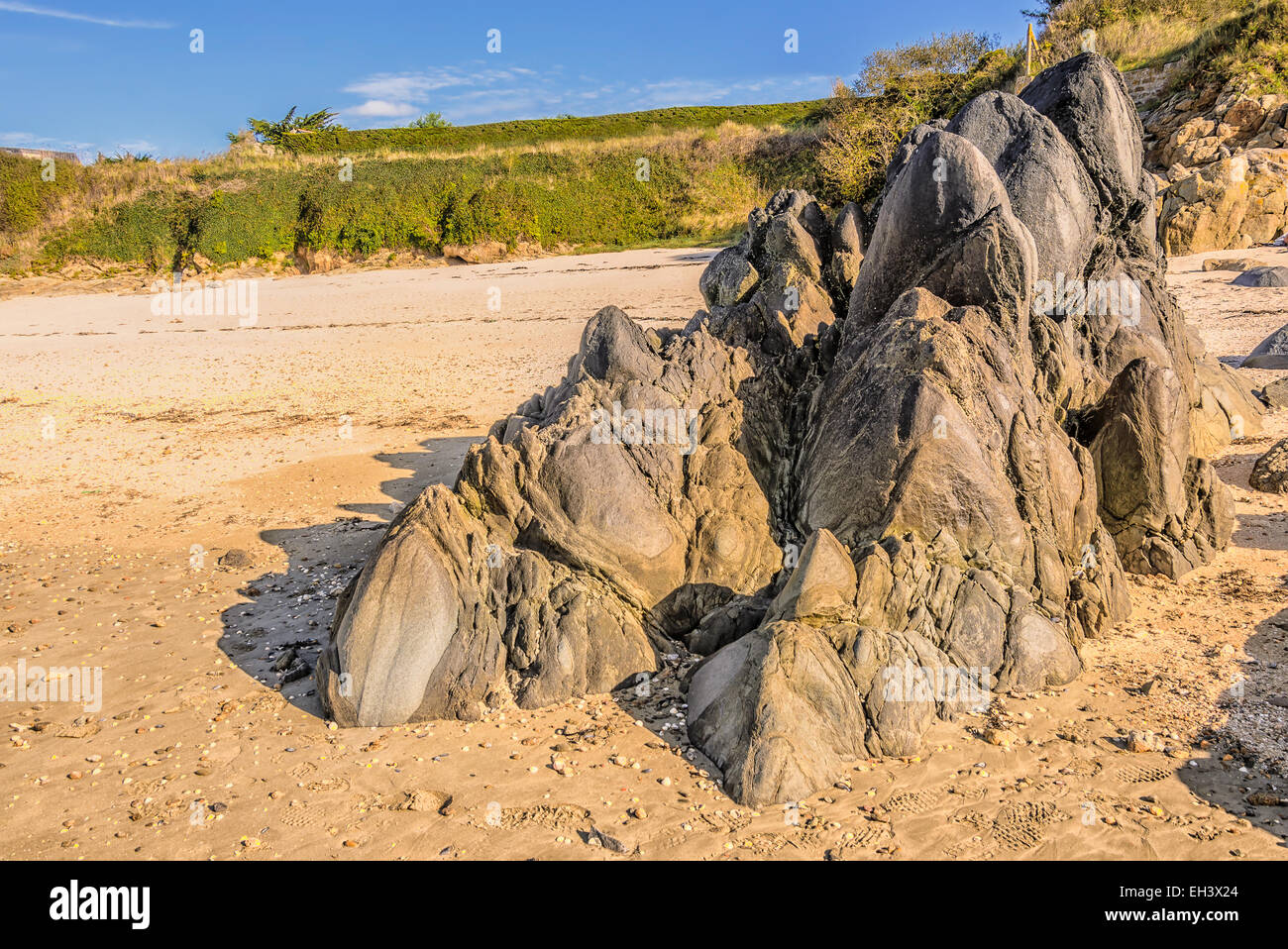 Dinosaurier stein -Fotos und -Bildmaterial in hoher Auflösung – Alamy