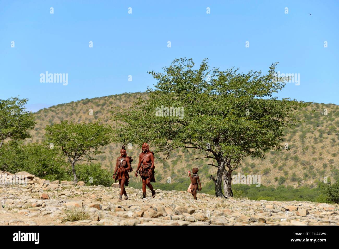 Namibie, Kaokoland Ou Kaokoveld, Himba Dorf, Ethnie Bantoue/Namibia ...