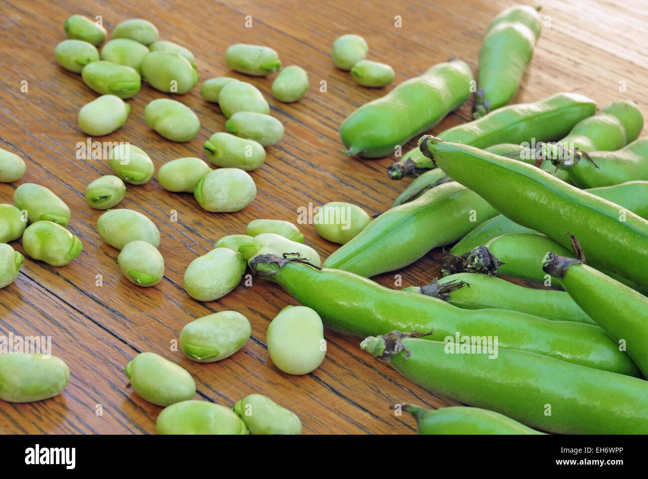 Broad bean -Fotos und -Bildmaterial in hoher Auflösung – Alamy