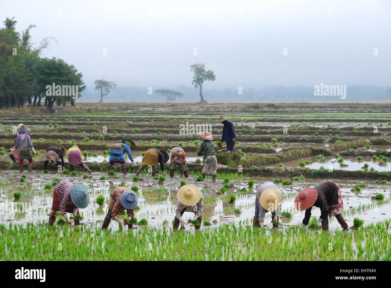 Dorfbewohner herum -Fotos und -Bildmaterial in hoher Auflösung – Alamy