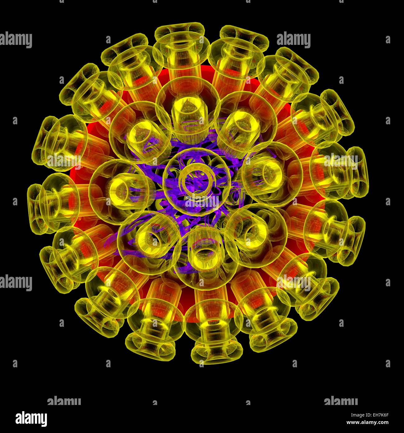 Hsv 1 -Fotos und -Bildmaterial in hoher Auflösung – Alamy