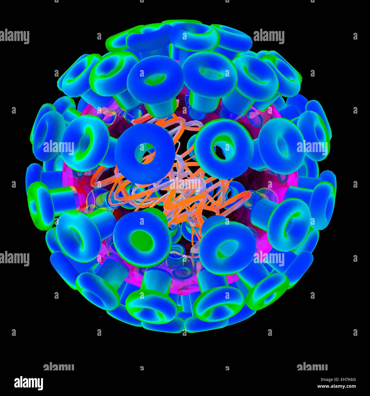 Herpes simplex virus 1 -Fotos und -Bildmaterial in hoher Auflösung – Alamy