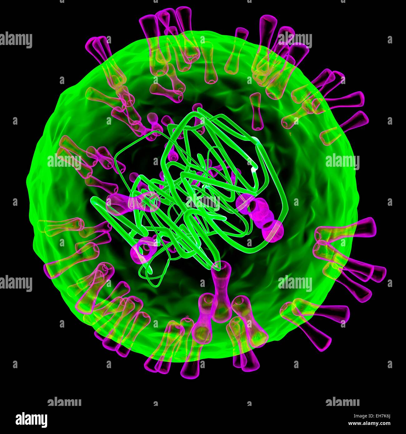 Hsv 2 -Fotos und -Bildmaterial in hoher Auflösung – Alamy