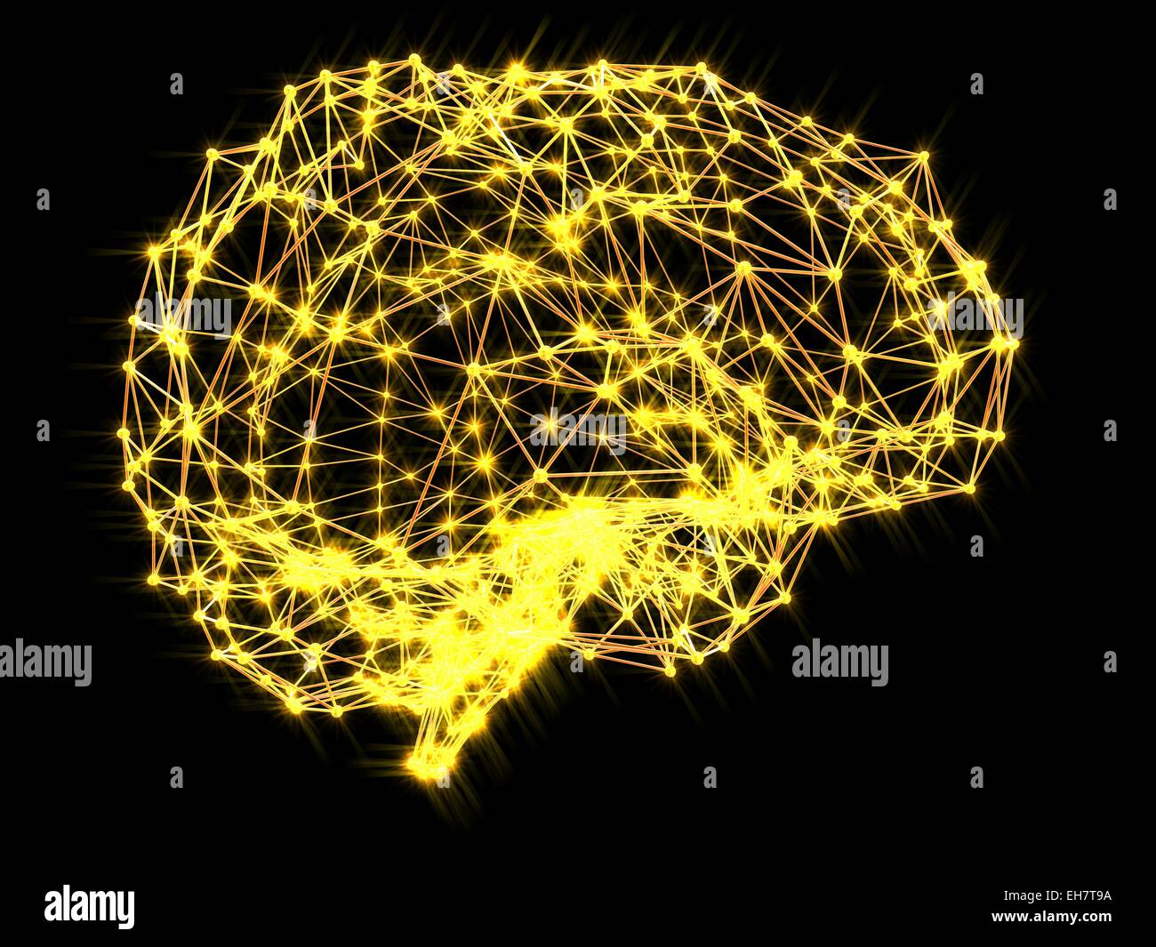 Gehirn, neuronales Netz Stockfotografie - Alamy