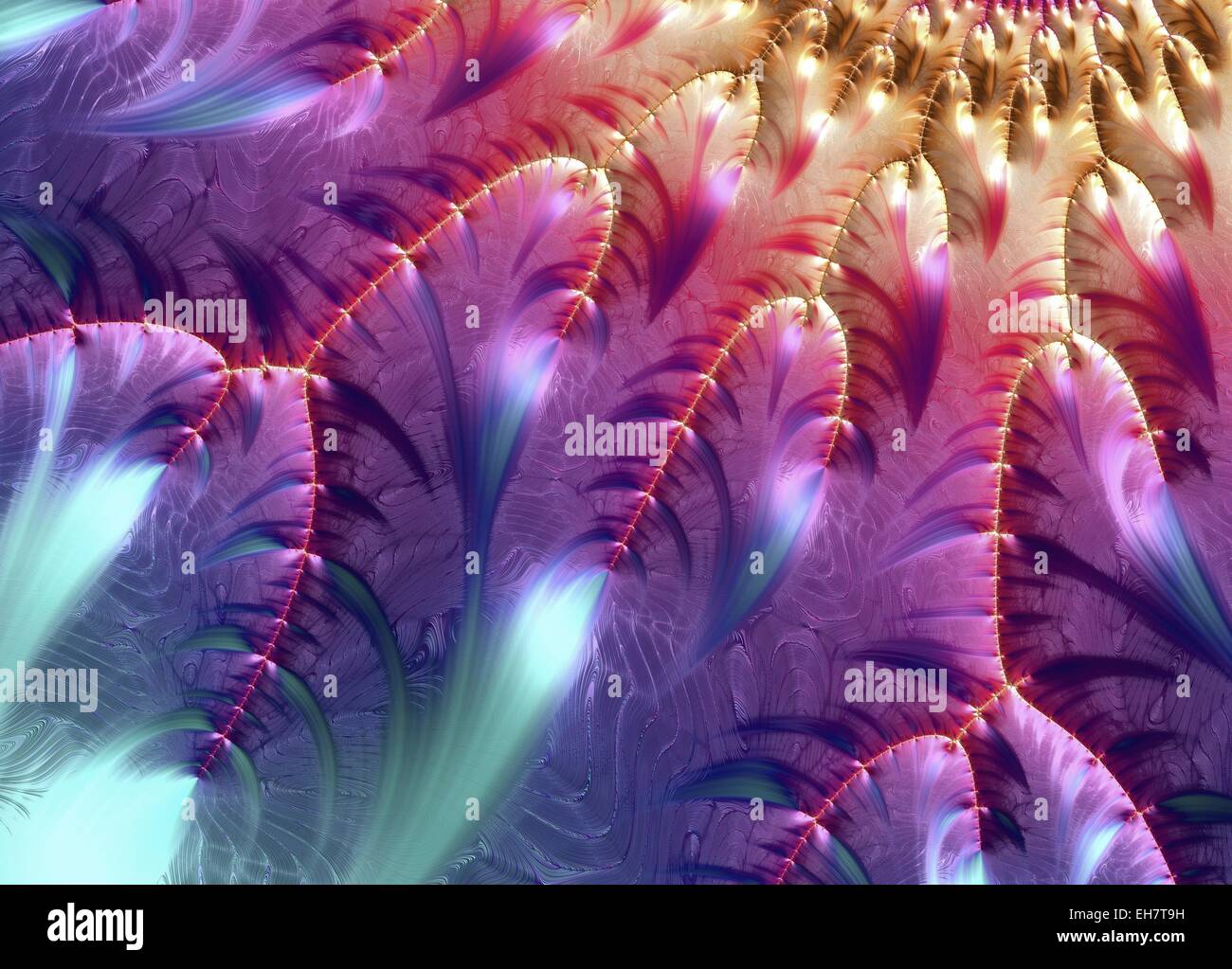 Fractal mandelbrot set -Fotos und -Bildmaterial in hoher Auflösung ...