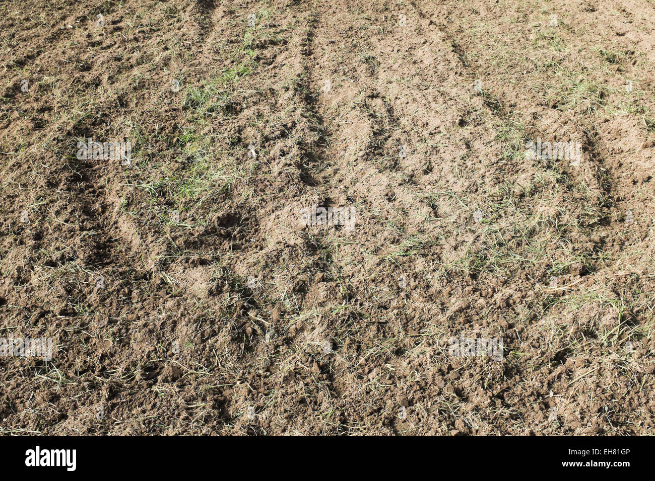 Earth Grass Soil Background Texture Stockfotos und -bilder Kaufen - Alamy