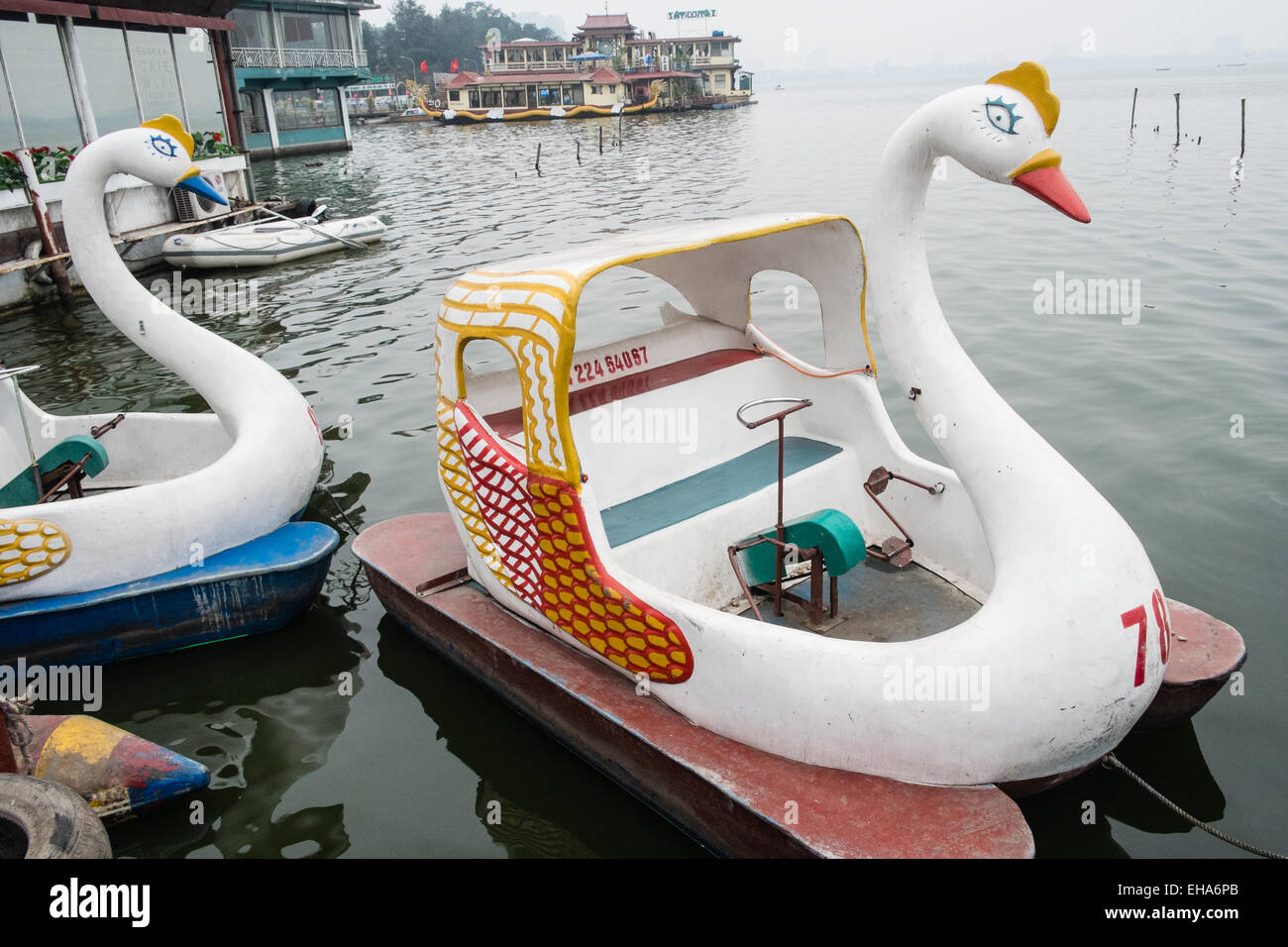 Geformten Vogel Tretboot Schwan, Boote, am Westsee, Hanoi, Vietnam ...