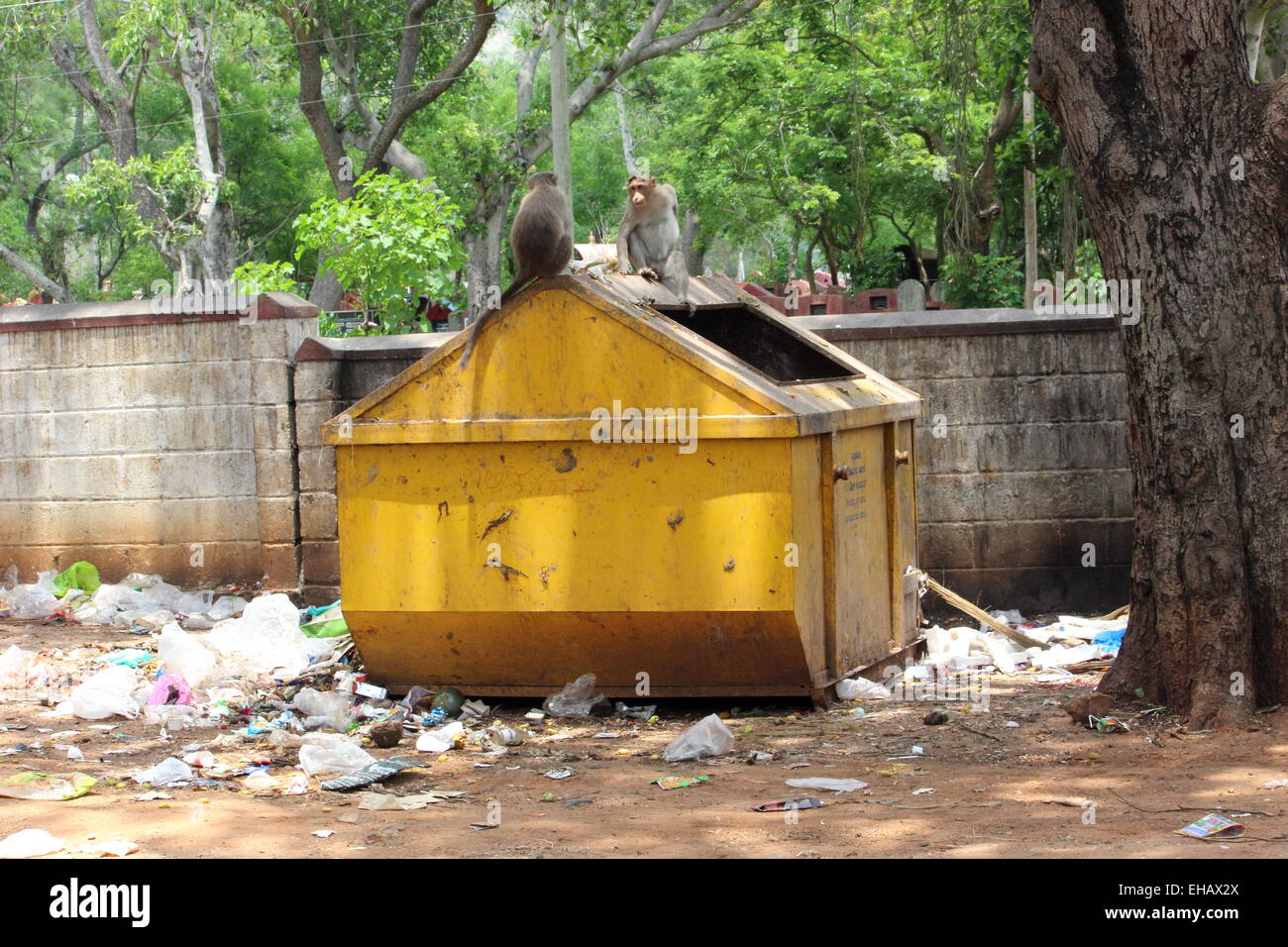 Waste food dustbin -Fotos und -Bildmaterial in hoher Auflösung – Alamy