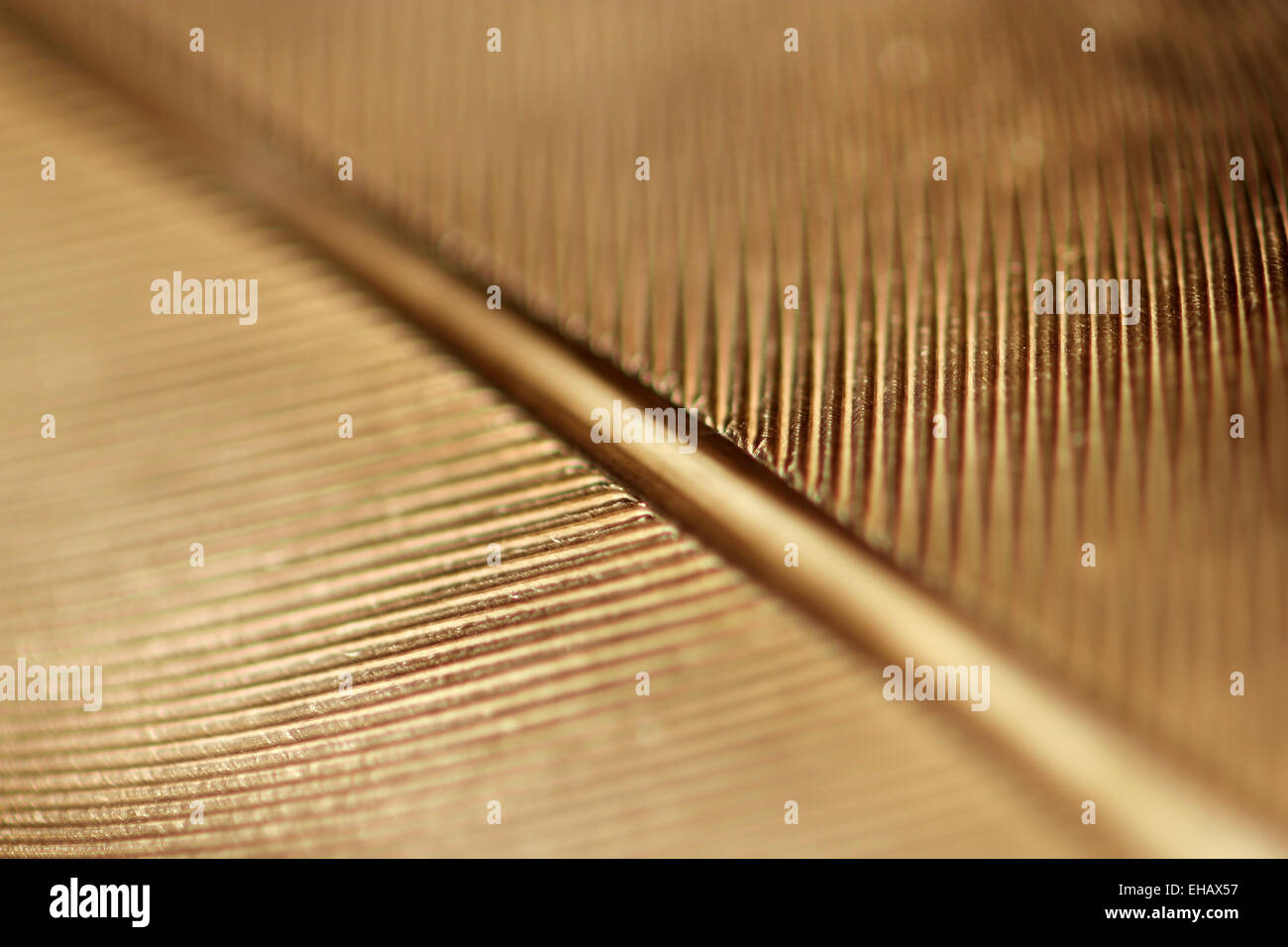 Metallische feder -Fotos und -Bildmaterial in hoher Auflösung – Alamy