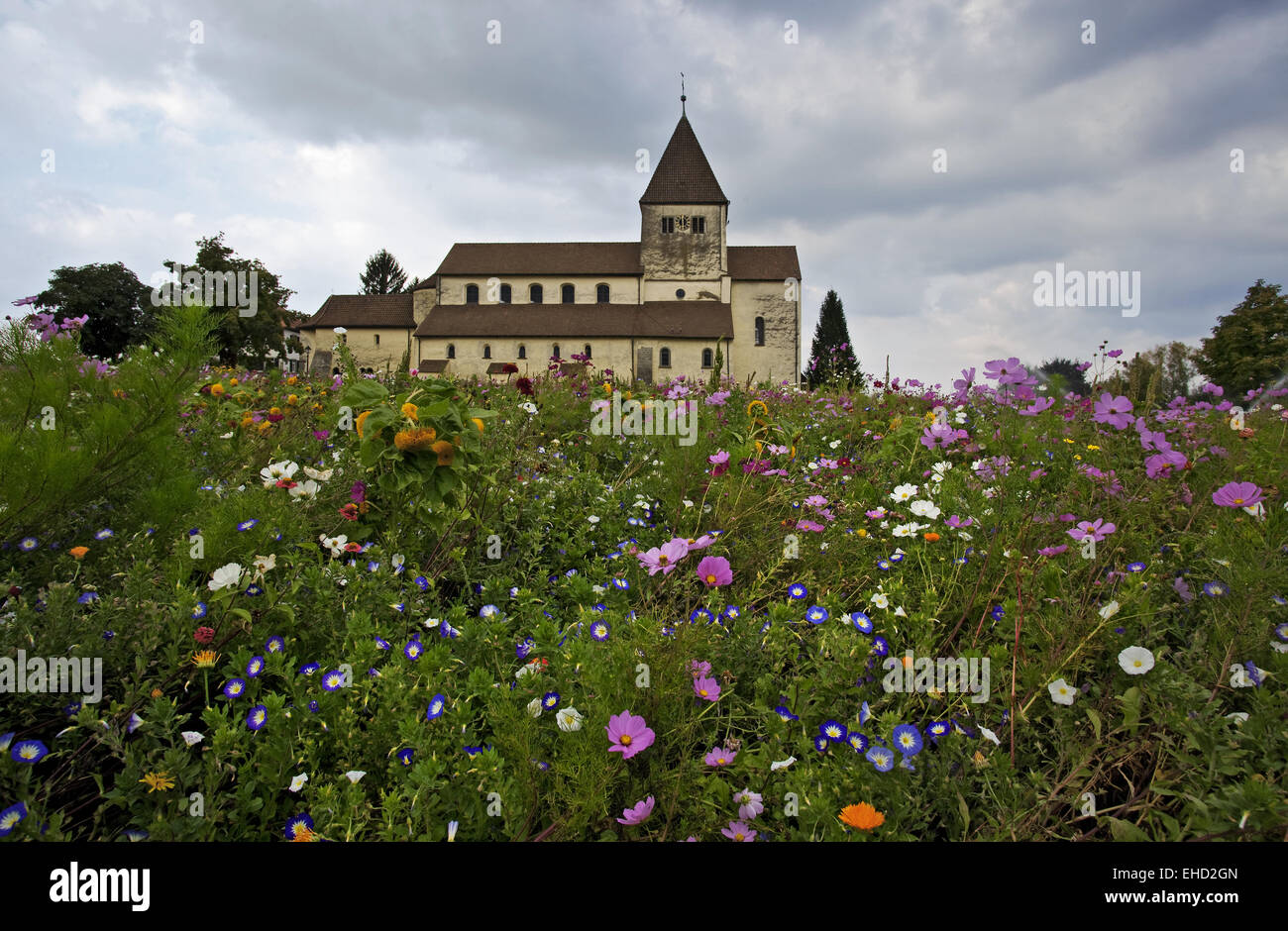 Kloster reichenau -Fotos und -Bildmaterial in hoher Auflösung – Alamy