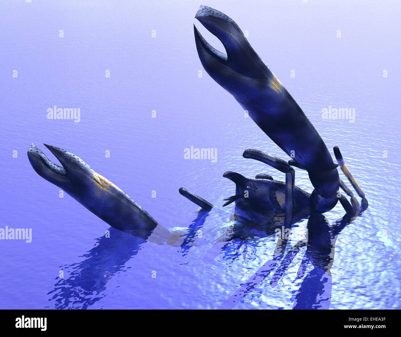 Hummer languste -Fotos und -Bildmaterial in hoher Auflösung – Alamy