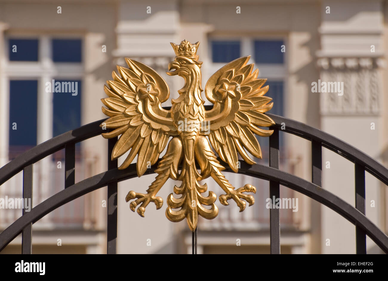 Der polnische adler -Fotos und -Bildmaterial in hoher Auflösung – Alamy