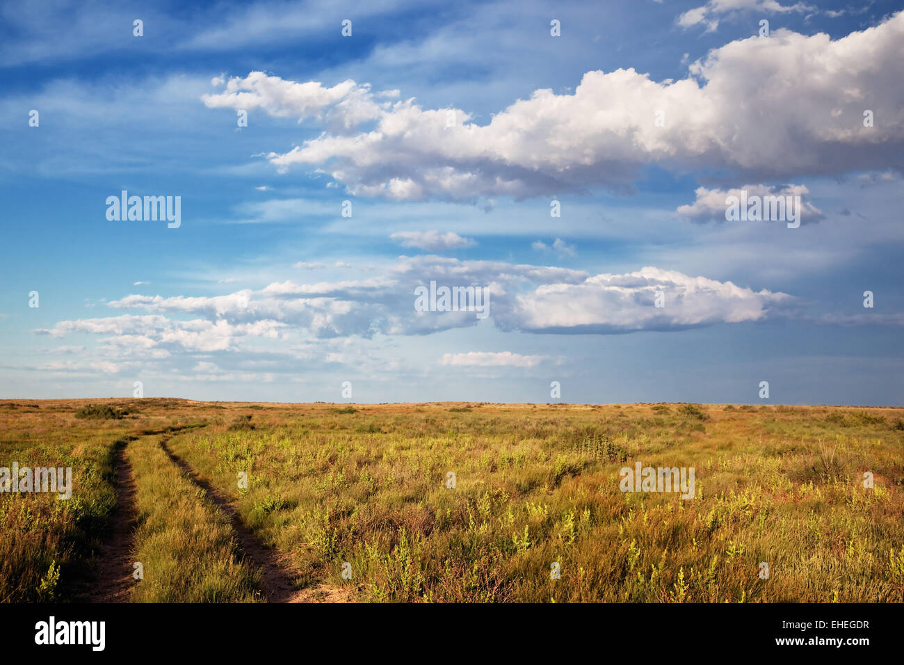 Steppengras Bereich Stockfotos und -bilder Kaufen - Alamy
