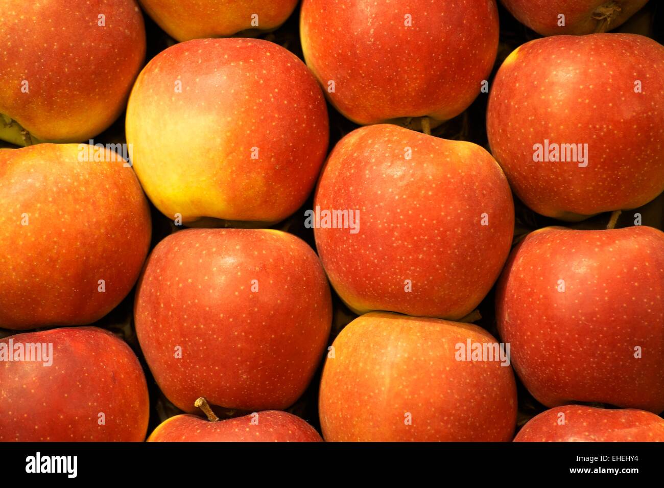 Braeburn apple -Fotos und -Bildmaterial in hoher Auflösung – Alamy