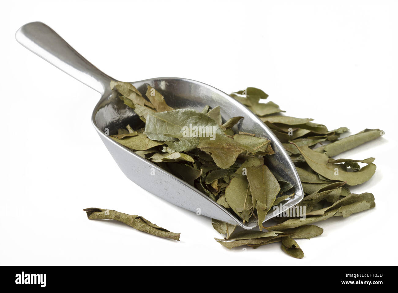 Curry blaetter -Fotos und -Bildmaterial in hoher Auflösung – Alamy