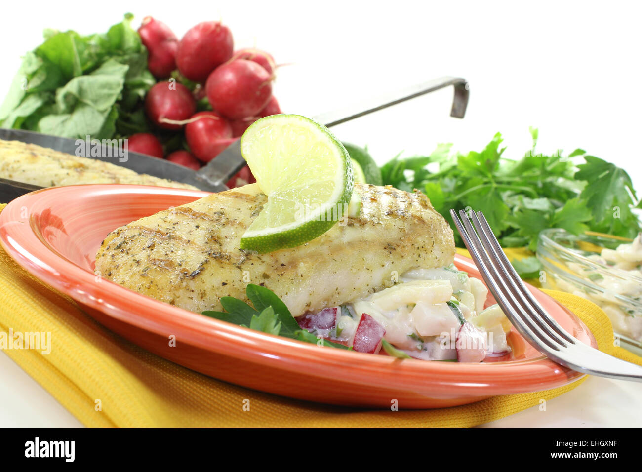 Whiptail seehecht -Fotos und -Bildmaterial in hoher Auflösung – Alamy