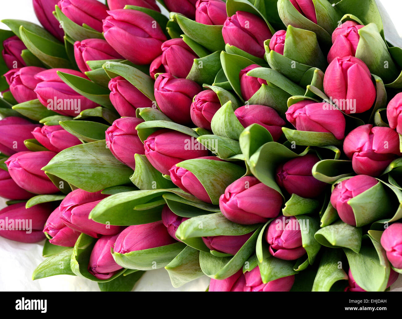 Blumenstrauss gross -Fotos und -Bildmaterial in hoher Auflösung – Alamy