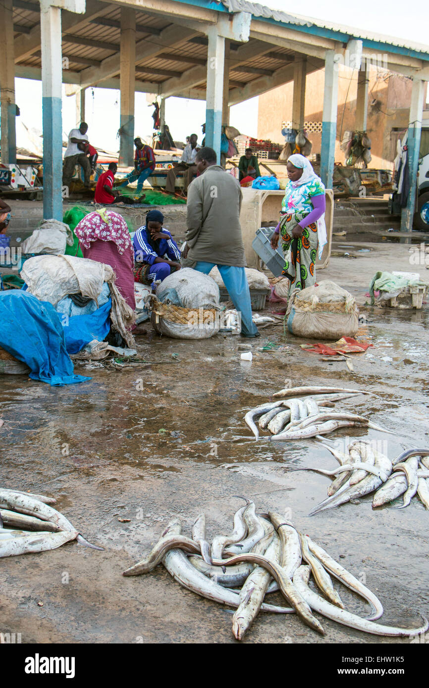 Fish market senegal -Fotos und -Bildmaterial in hoher Auflösung – Alamy