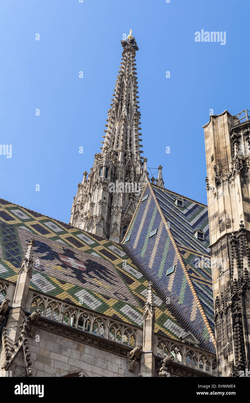 Stephansdom, dem Stephansdom, Vienna Stockfotografie - Alamy