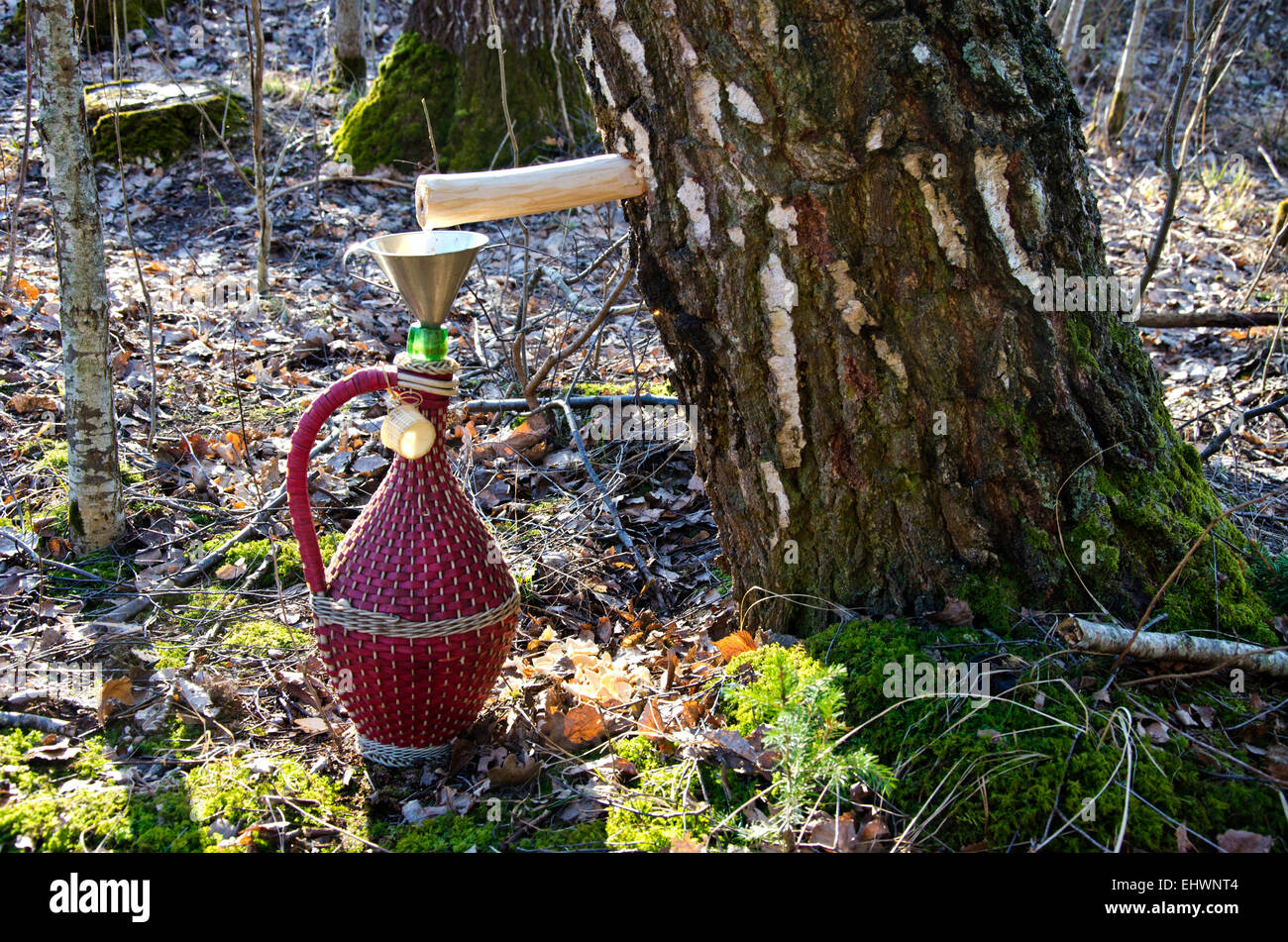 Weidenflaschenhalter aus korbweide -Fotos und -Bildmaterial in hoher ...