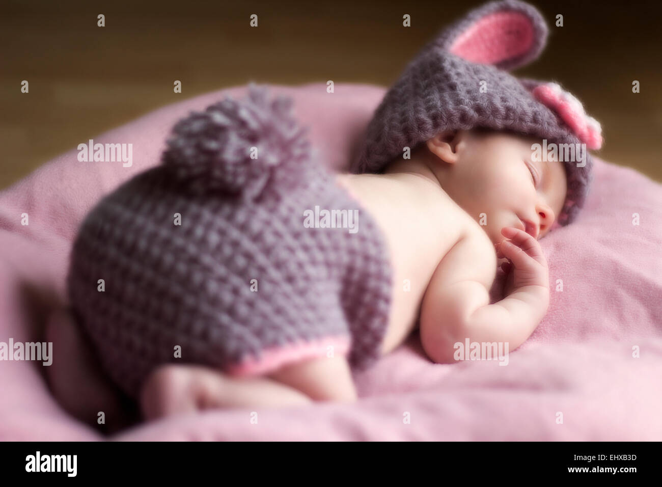 Schlafender hase -Fotos und -Bildmaterial in hoher Auflösung – Alamy