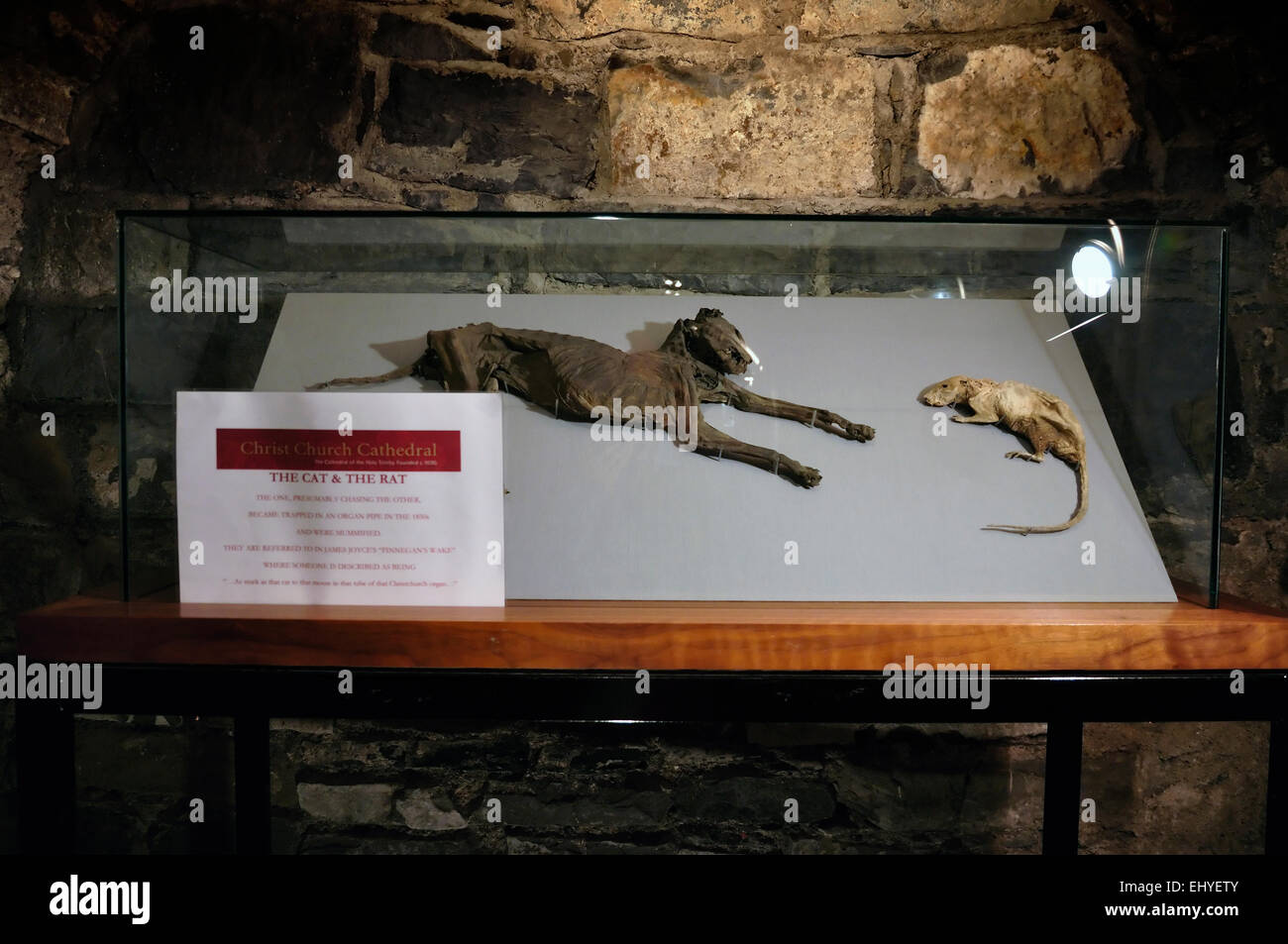 Dublin rat -Fotos und -Bildmaterial in hoher Auflösung – Alamy