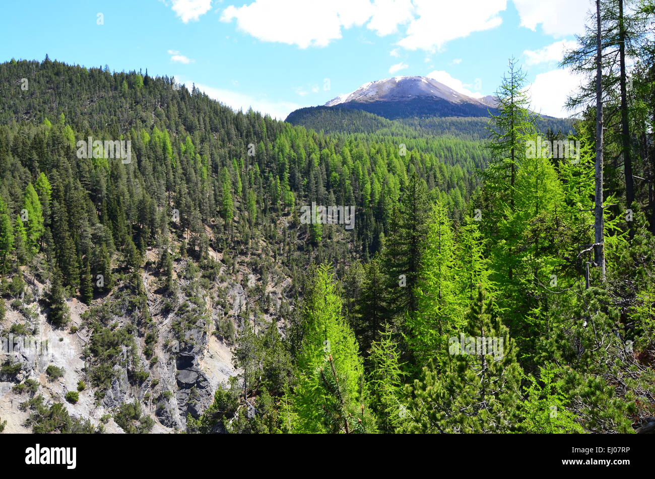 Val dal spol -Fotos und -Bildmaterial in hoher Auflösung – Alamy