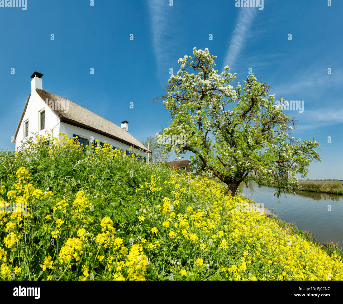 Holland deich -Fotos und -Bildmaterial in hoher Auflösung – Alamy