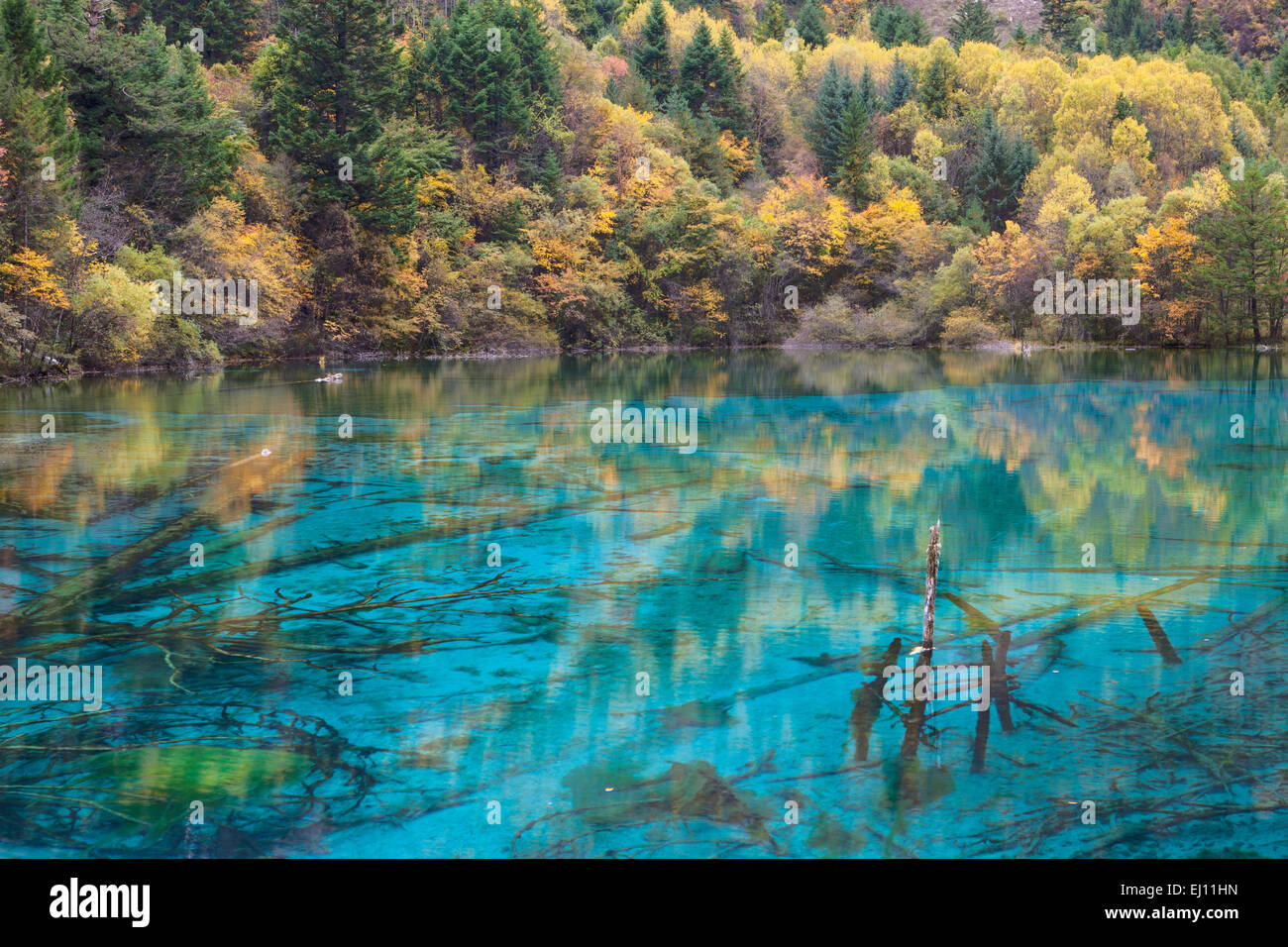 Fünf blumen see -Fotos und -Bildmaterial in hoher Auflösung – Alamy