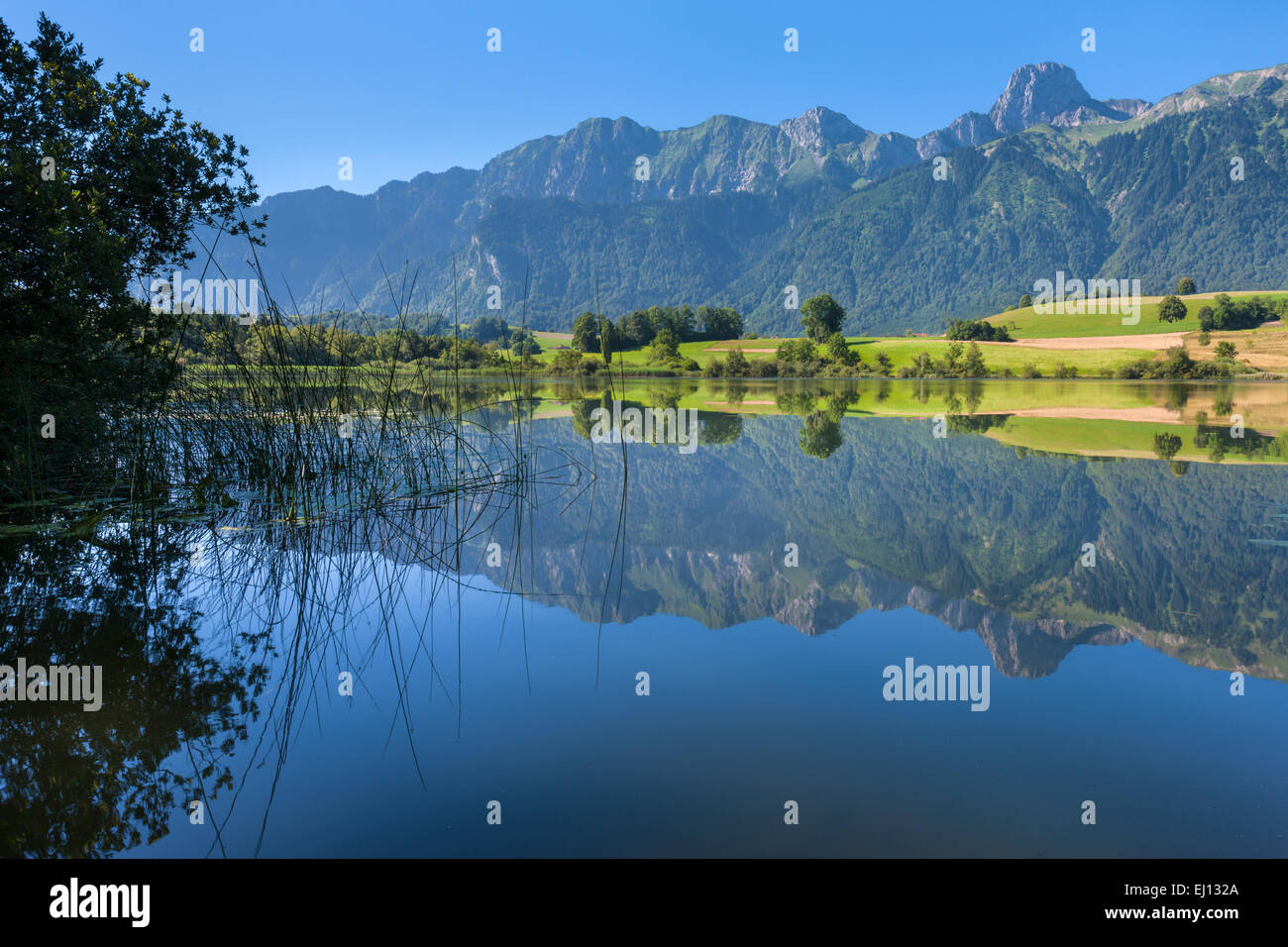 Uebeschisee, See, Schweiz, Europa, Kanton Bern, Berner Oberland ...