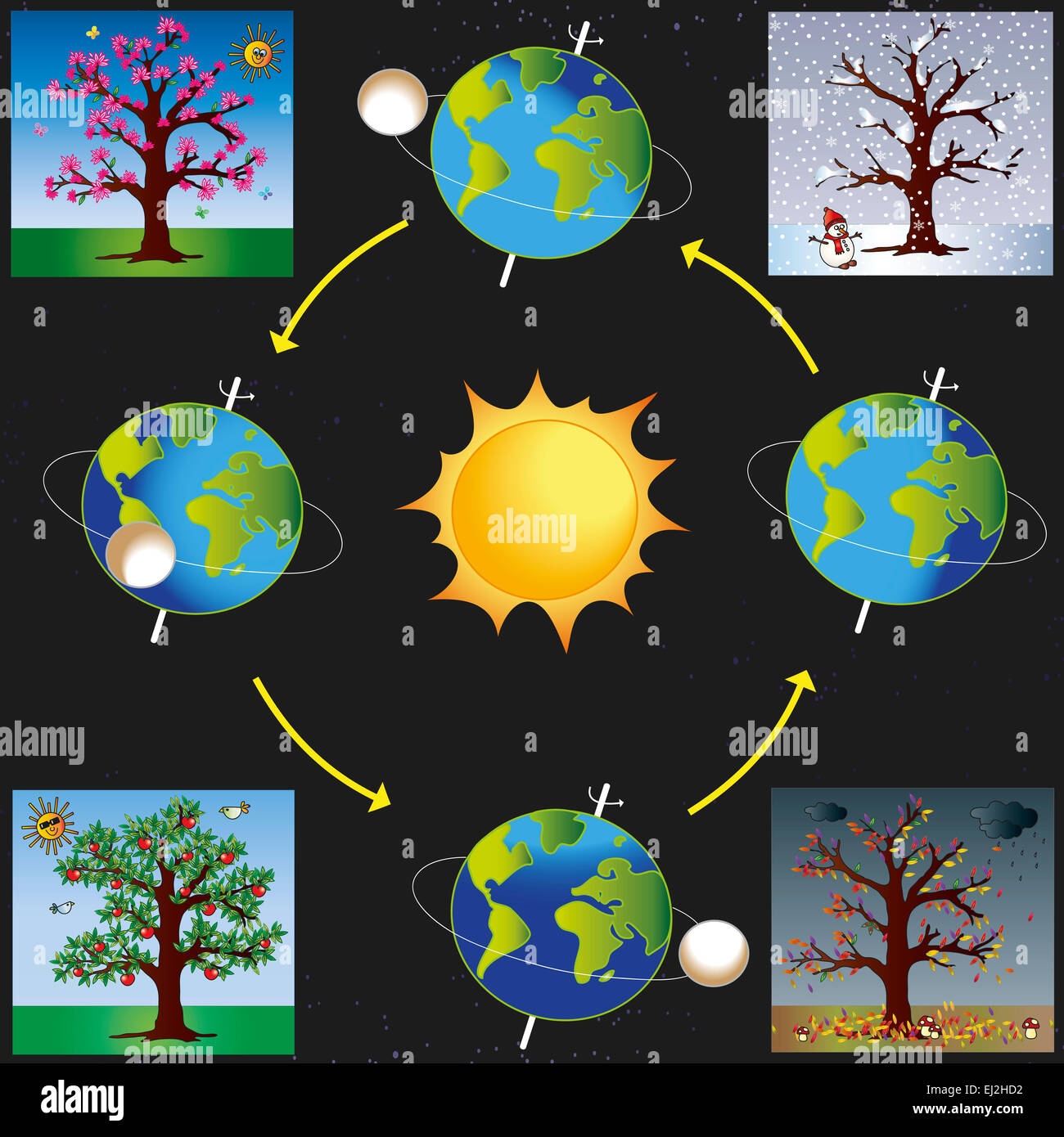 Abbildung der Erde um die Sonne dreht sich Stockfotografie - Alamy Abbildung der Erde um die Sonne dreht sich Stockfotografie - Alamy