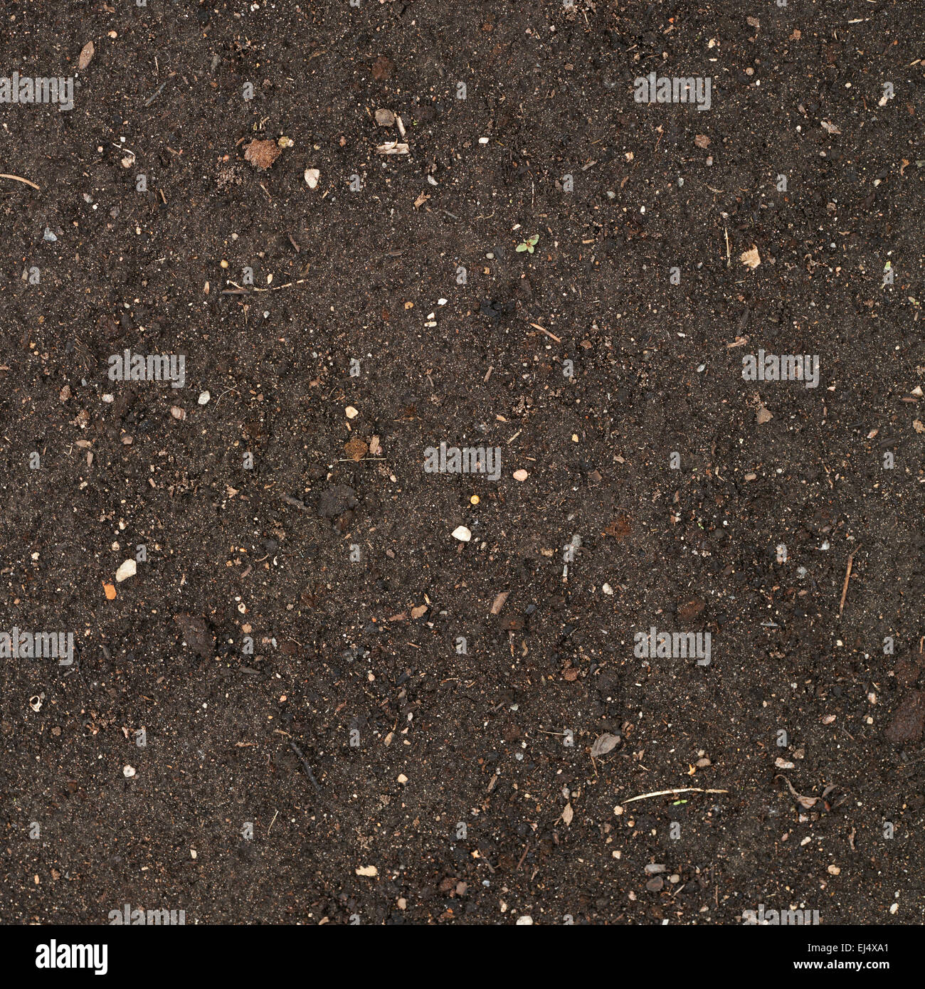 Erde-Textur mit einer kleinen steinernen Beimischung Stockfotografie ...