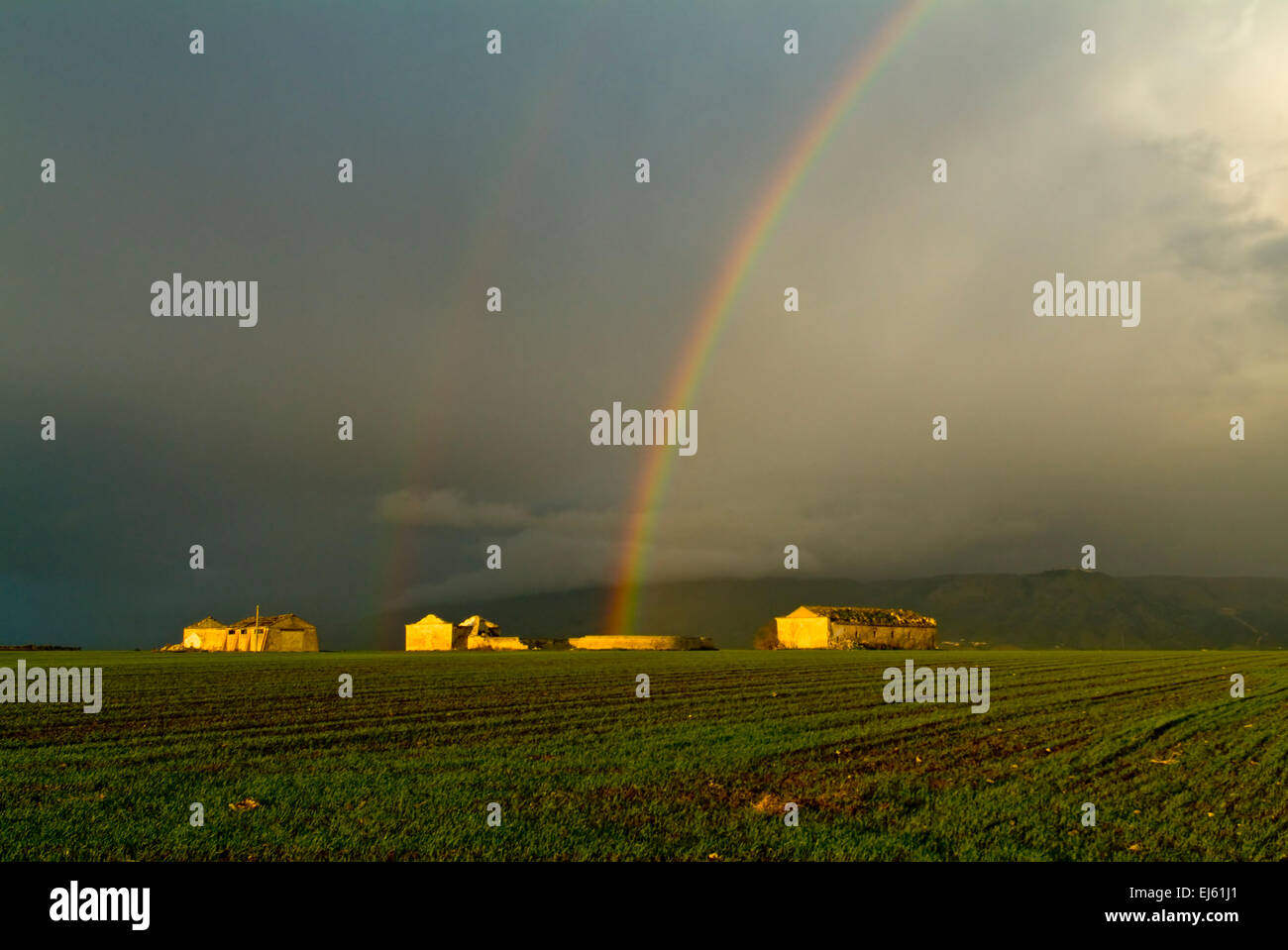 Weizen und regen -Fotos und -Bildmaterial in hoher Auflösung – Alamy
