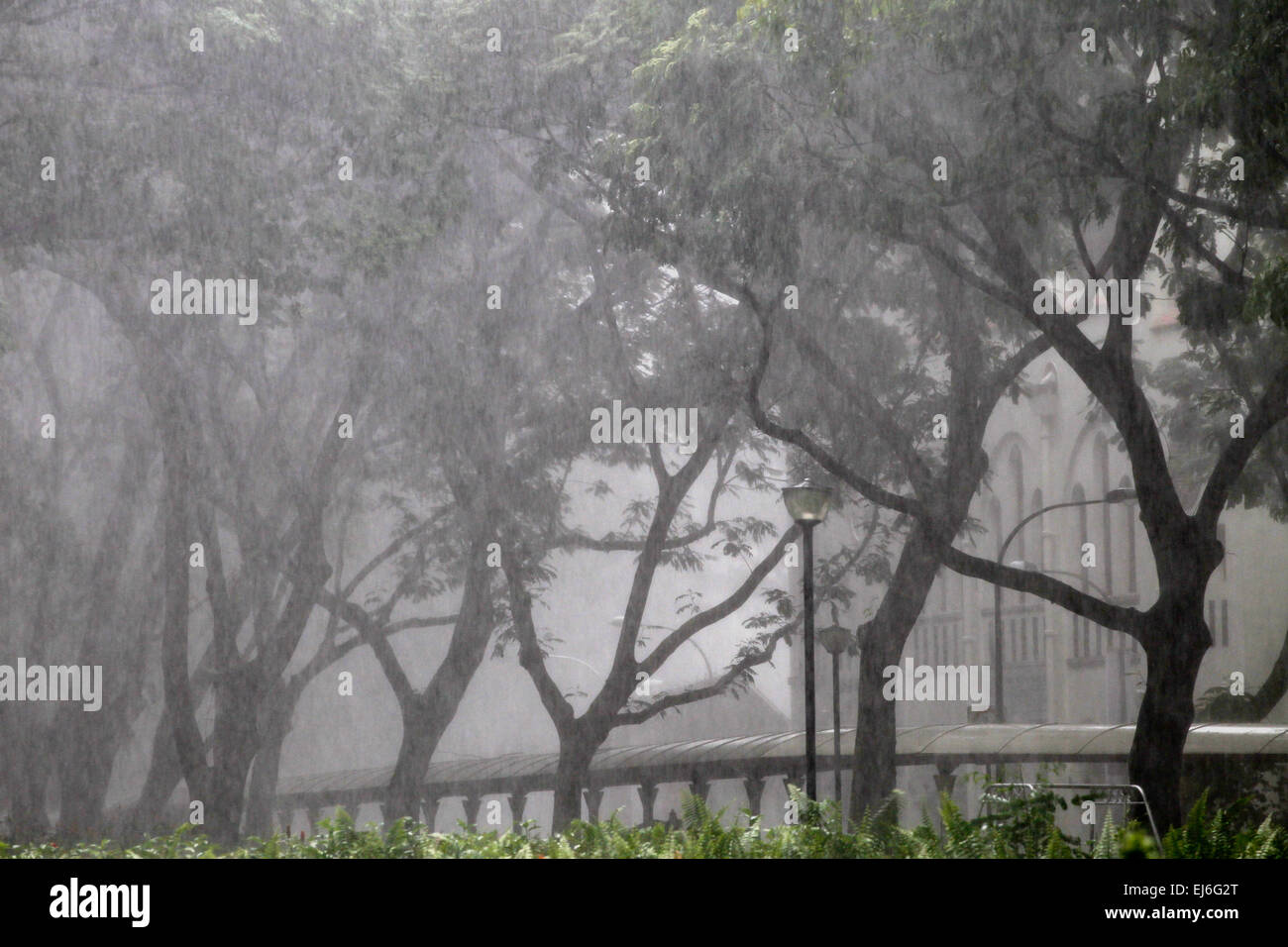 Monsun-Regen in Singapur Stockfotografie - Alamy